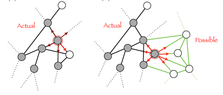 The adjacent possible – Naomi Stanford